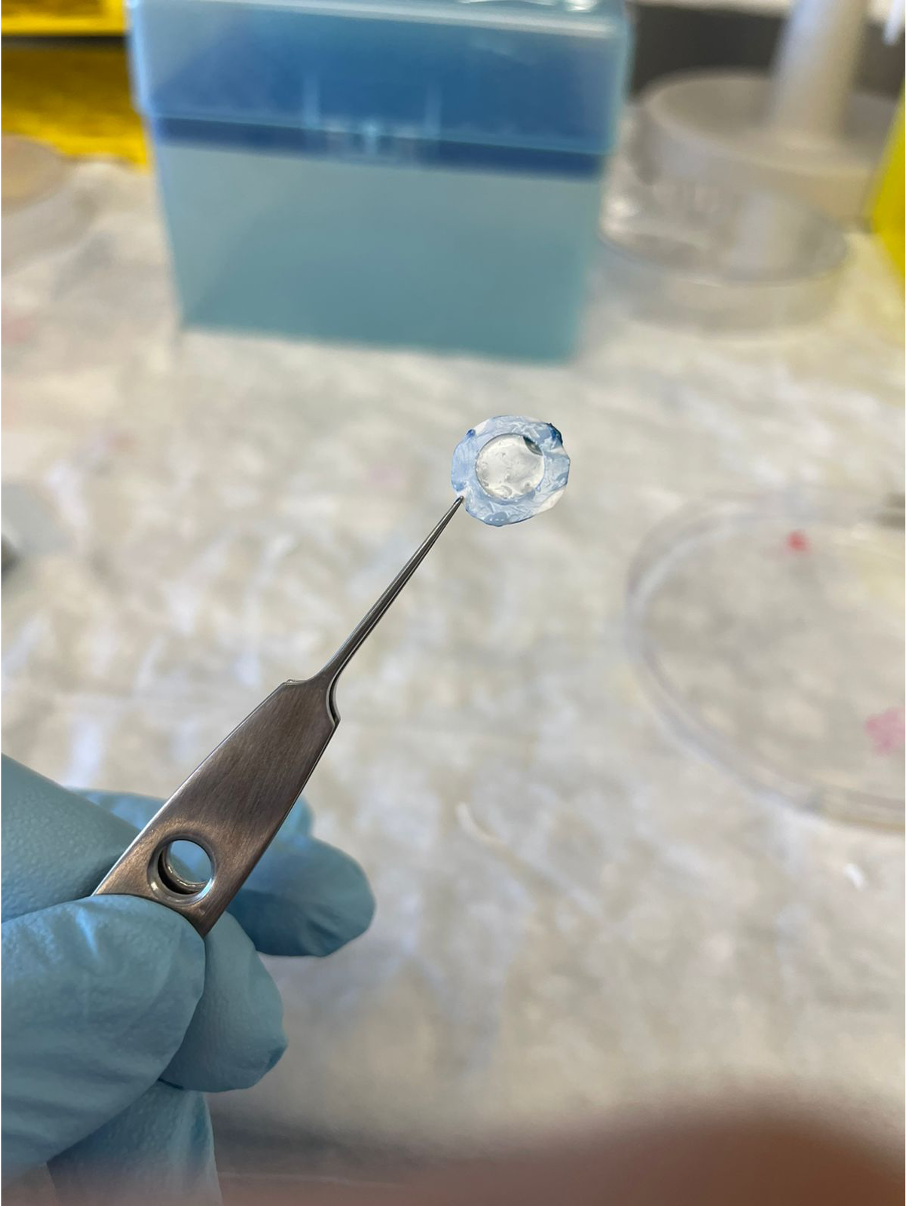 Background - Synthetic Ocular Restoration